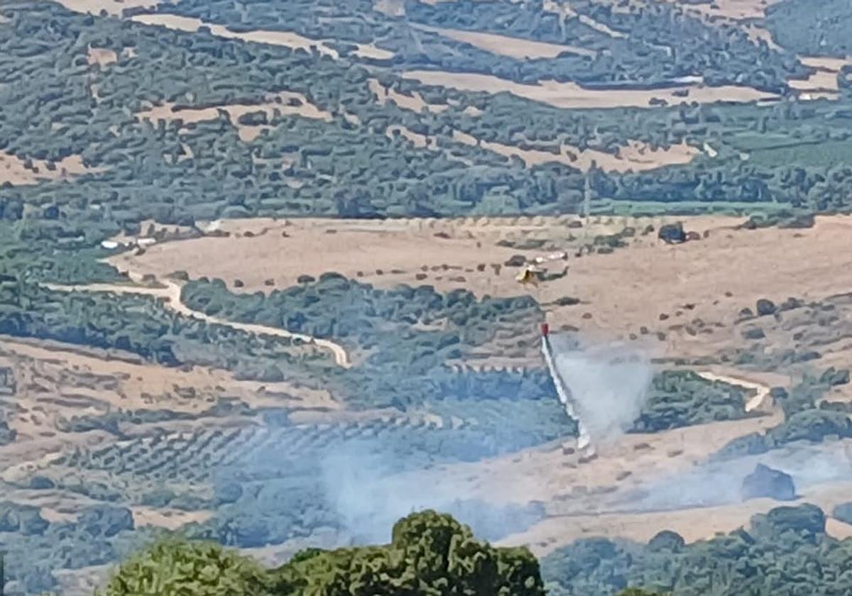 Extinguido un incendio forestal en la Finca Las Hormigas en Casares | Diario Sur